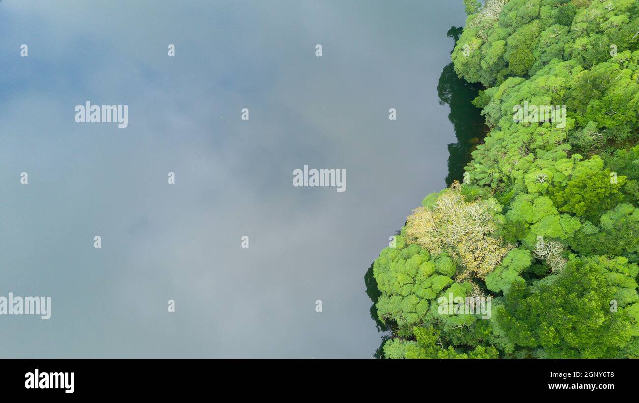 The astonishing greens of the archipelago of Azores - Portugal Stock ...