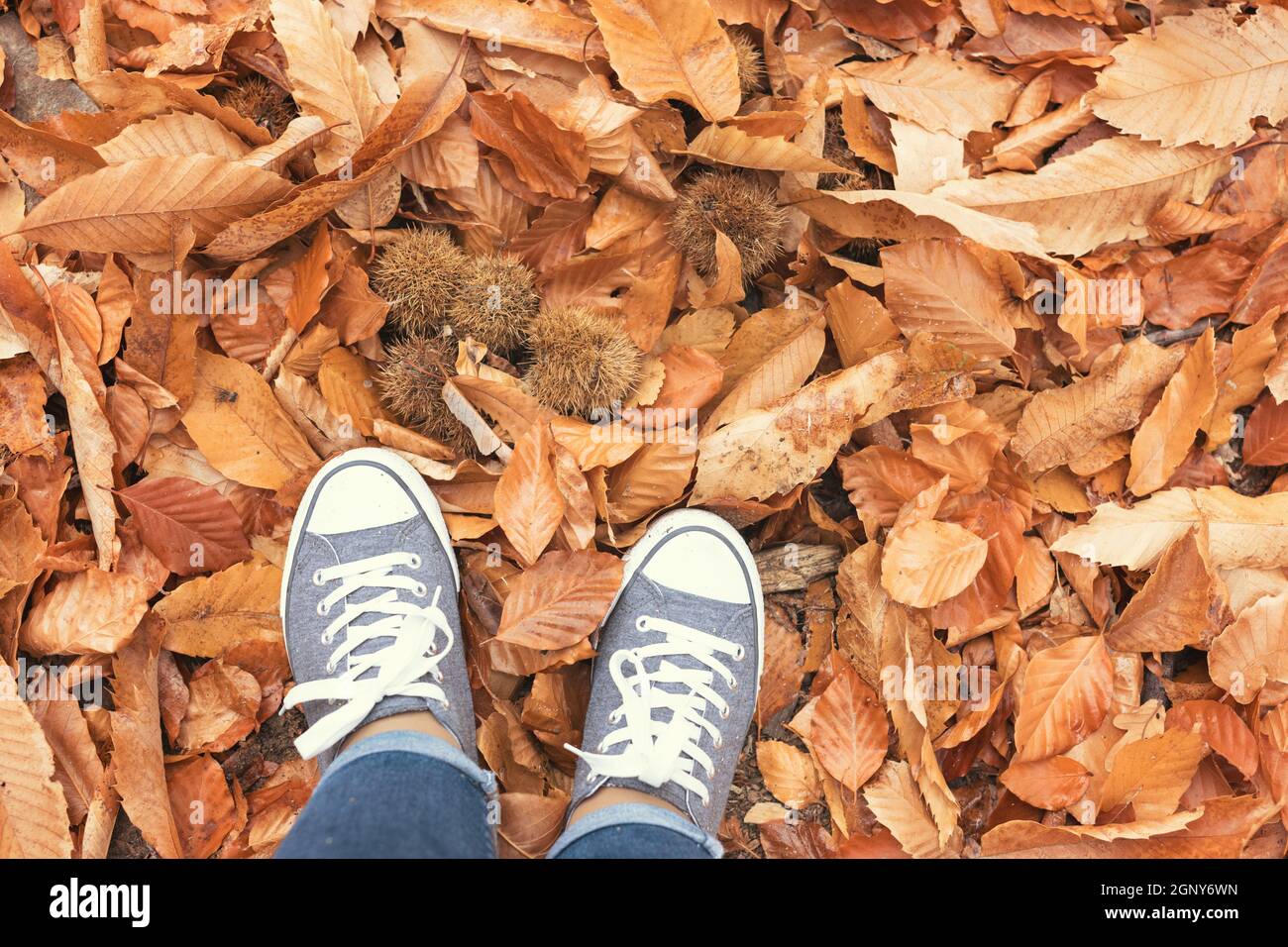 Fall, autumn, leaves, legs and shoes. Conceptual image of legs in shoes ...