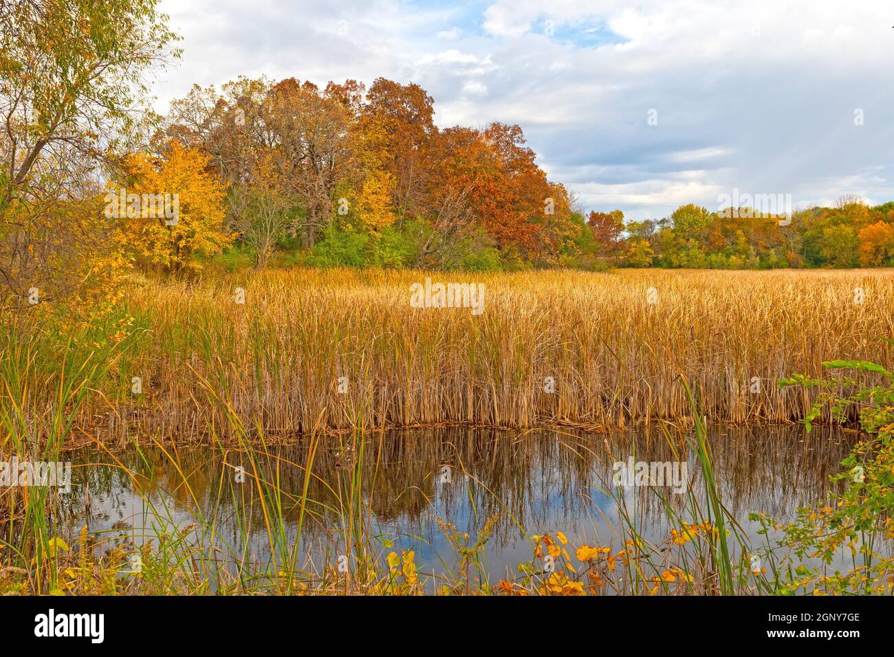 Moraine hills state park in illinois hi-res stock photography and ...