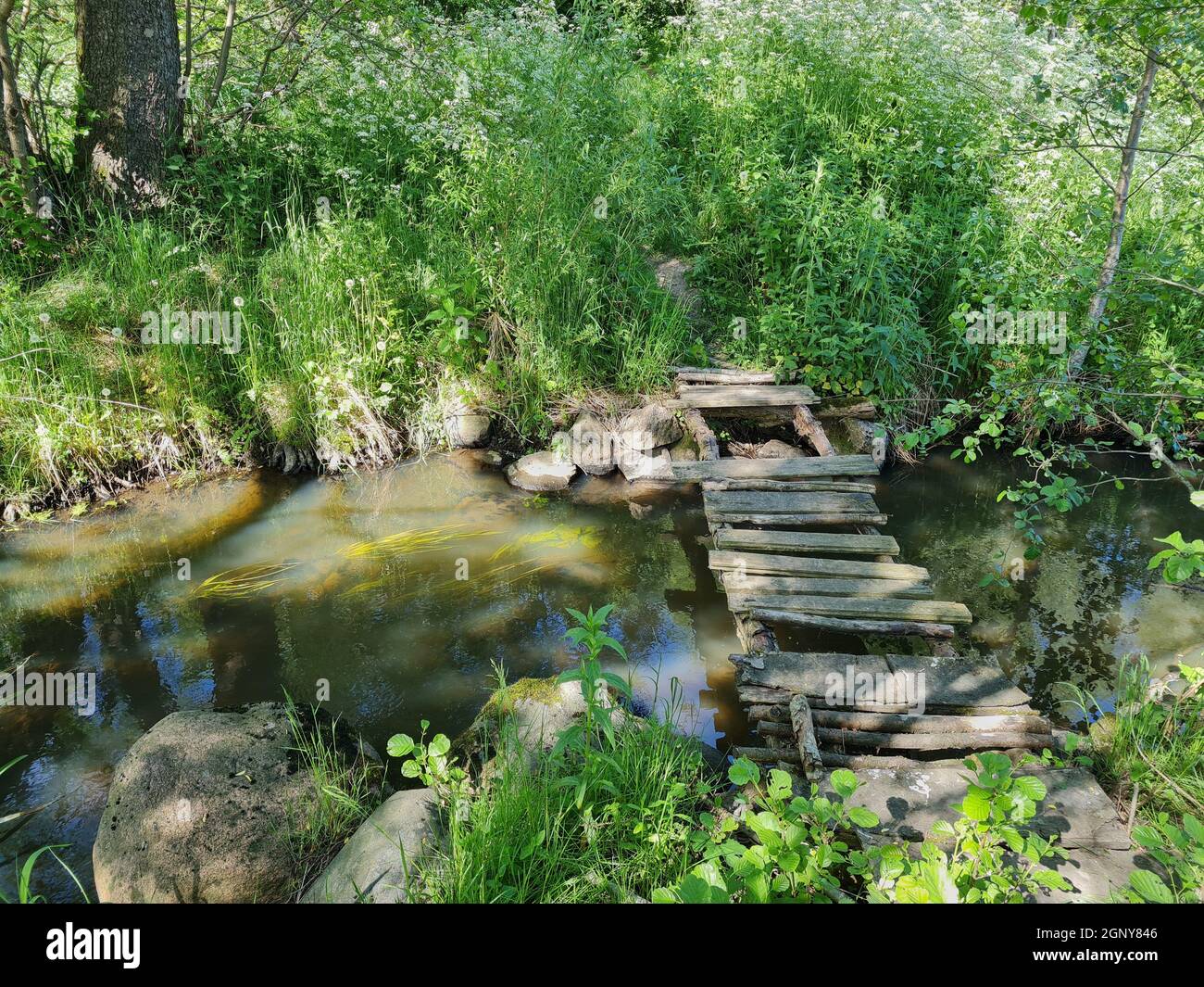 Broken wooden bridge hi-res stock photography and images - Alamy