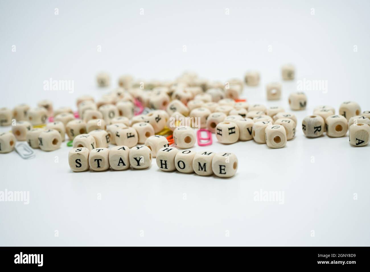 Stay home of the tree of (STAY HOME) block. Shooting Location: Yokohama ...