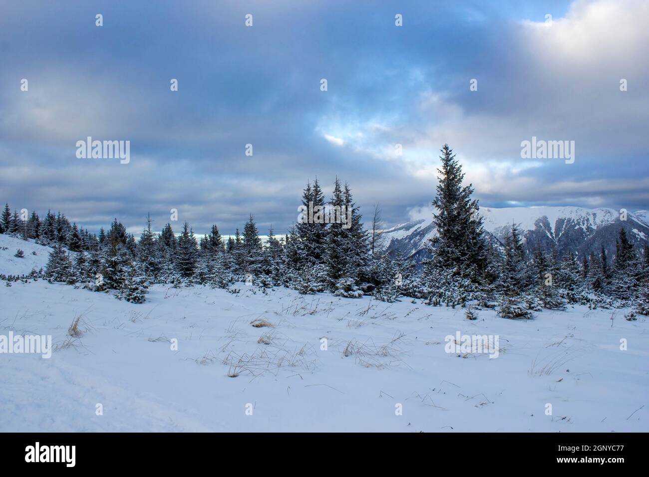 Winter landscape - Rax Mountain in the Austrian Alps, Lower Austria ...