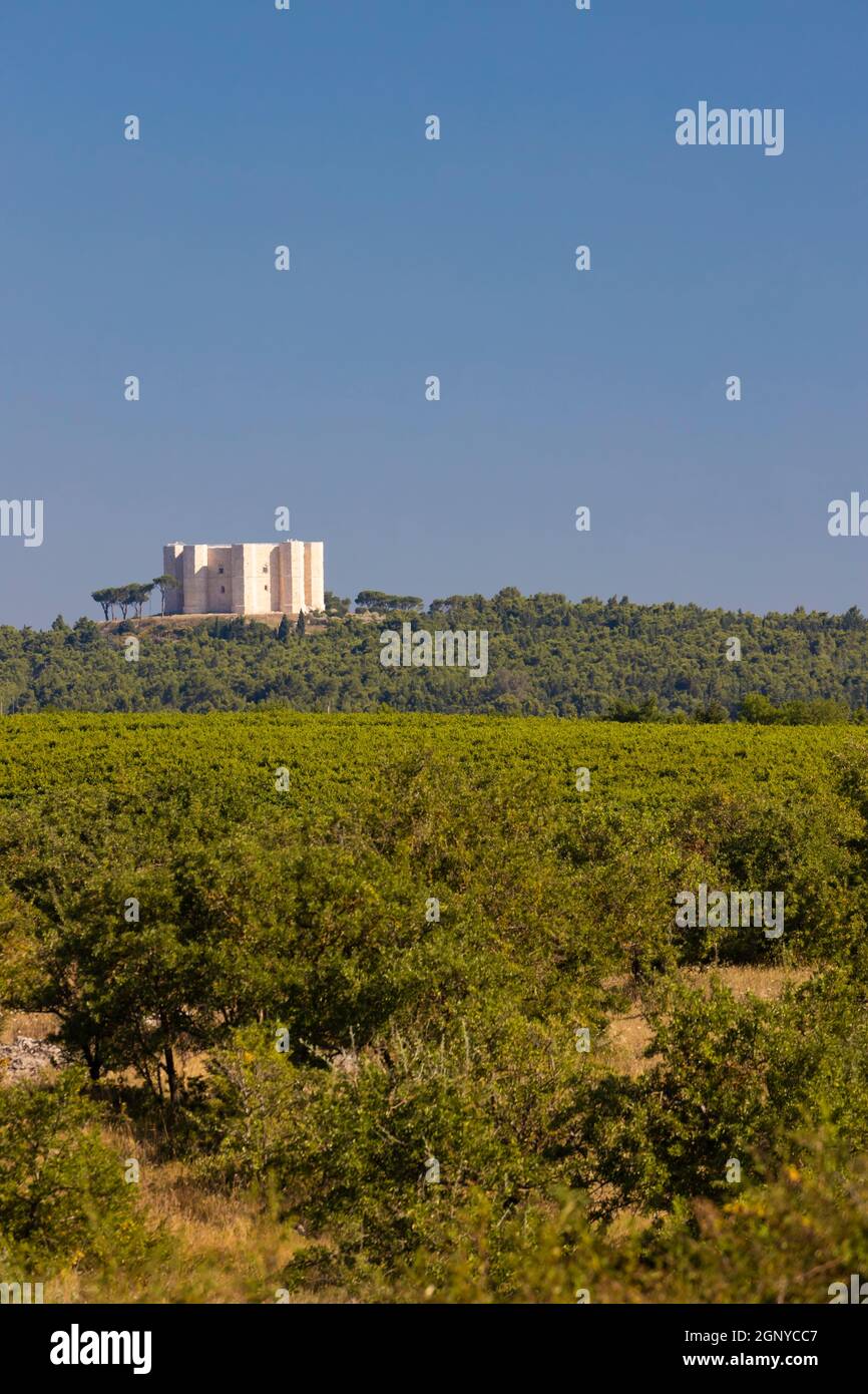Castel del Monte, castle built in an octagonal shape by the Holy Roman ...