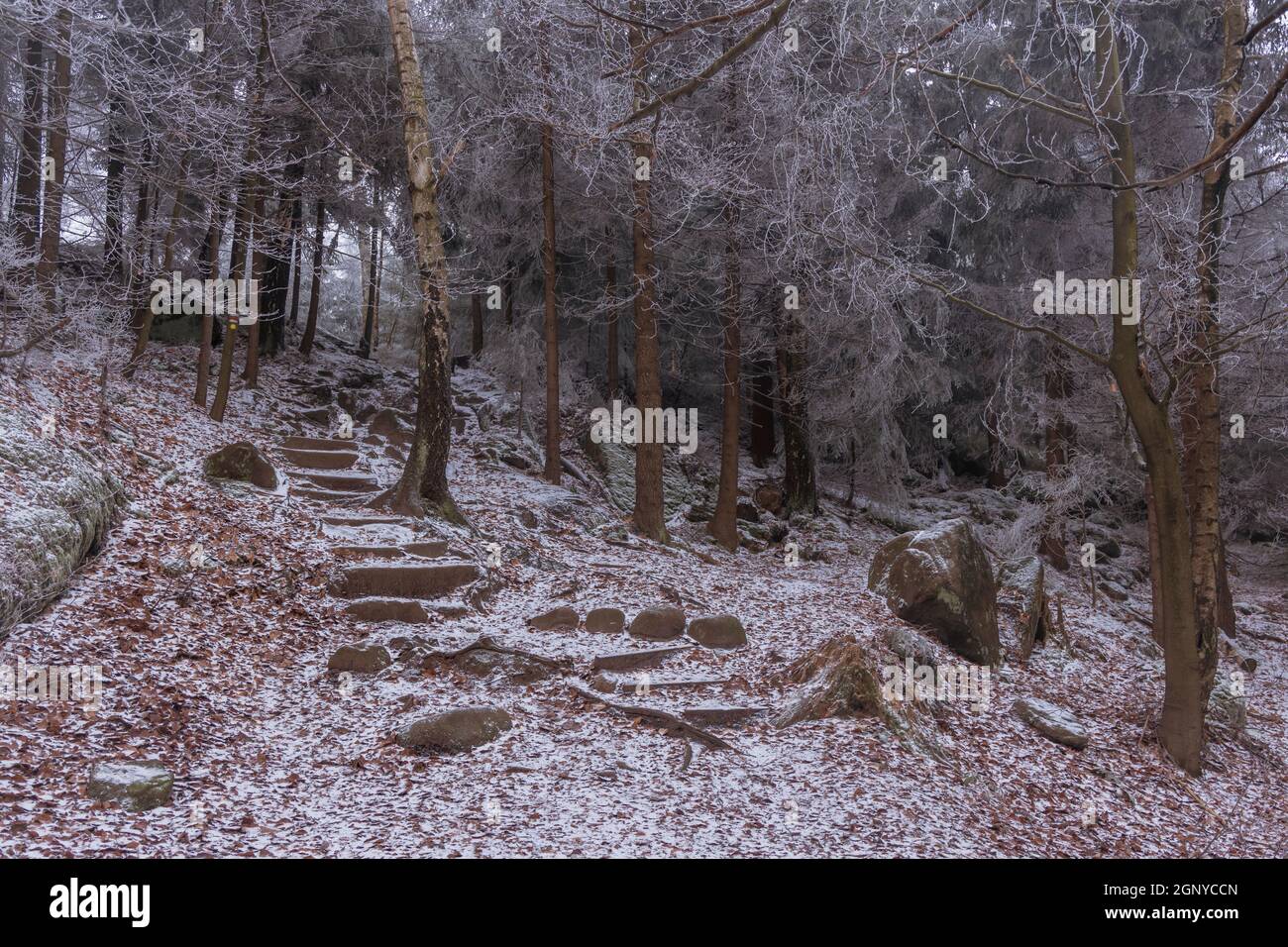 landscape in a nature reserve Broumovske steny, eastern Bohemia, Czech ...