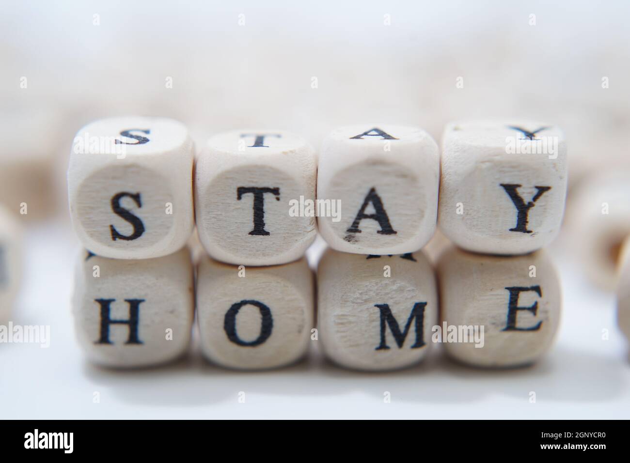 Stay home of the tree of (STAY HOME) block. Shooting Location: Yokohama ...