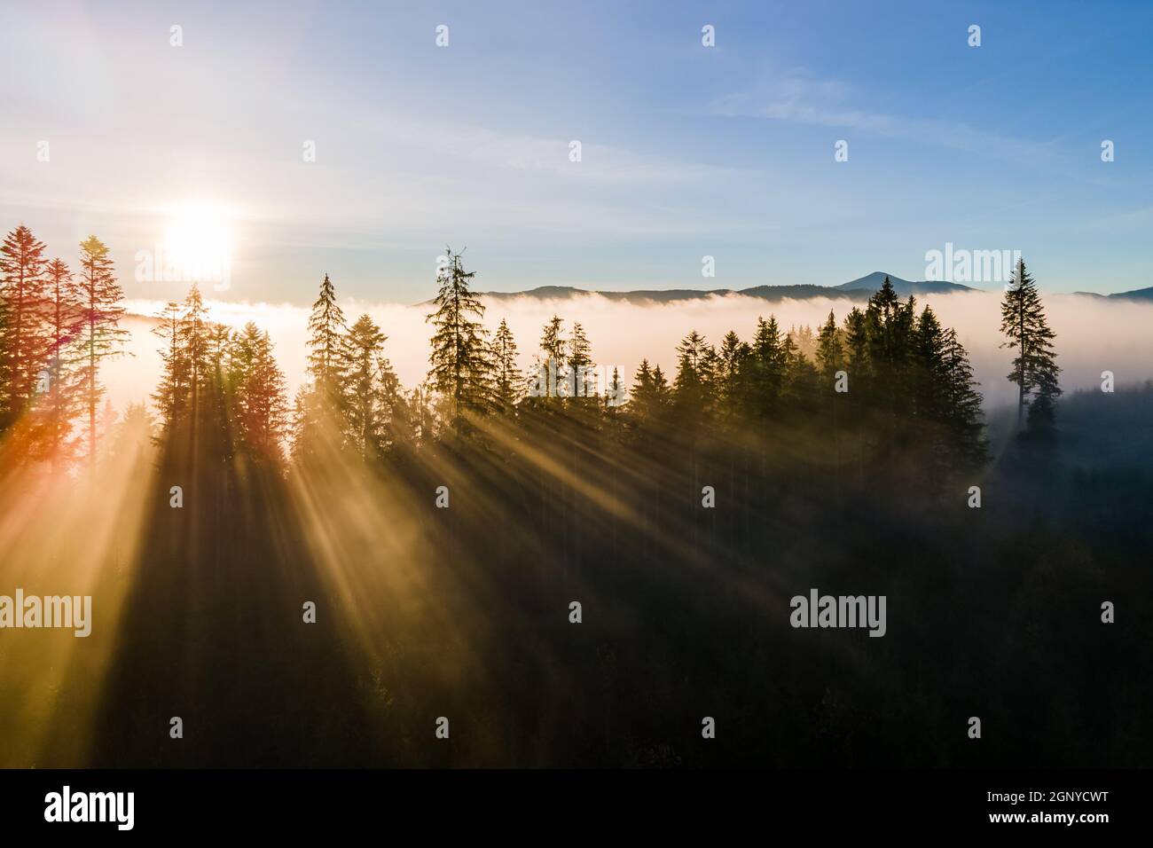 Sunset through canopies hi-res stock photography and images - Alamy