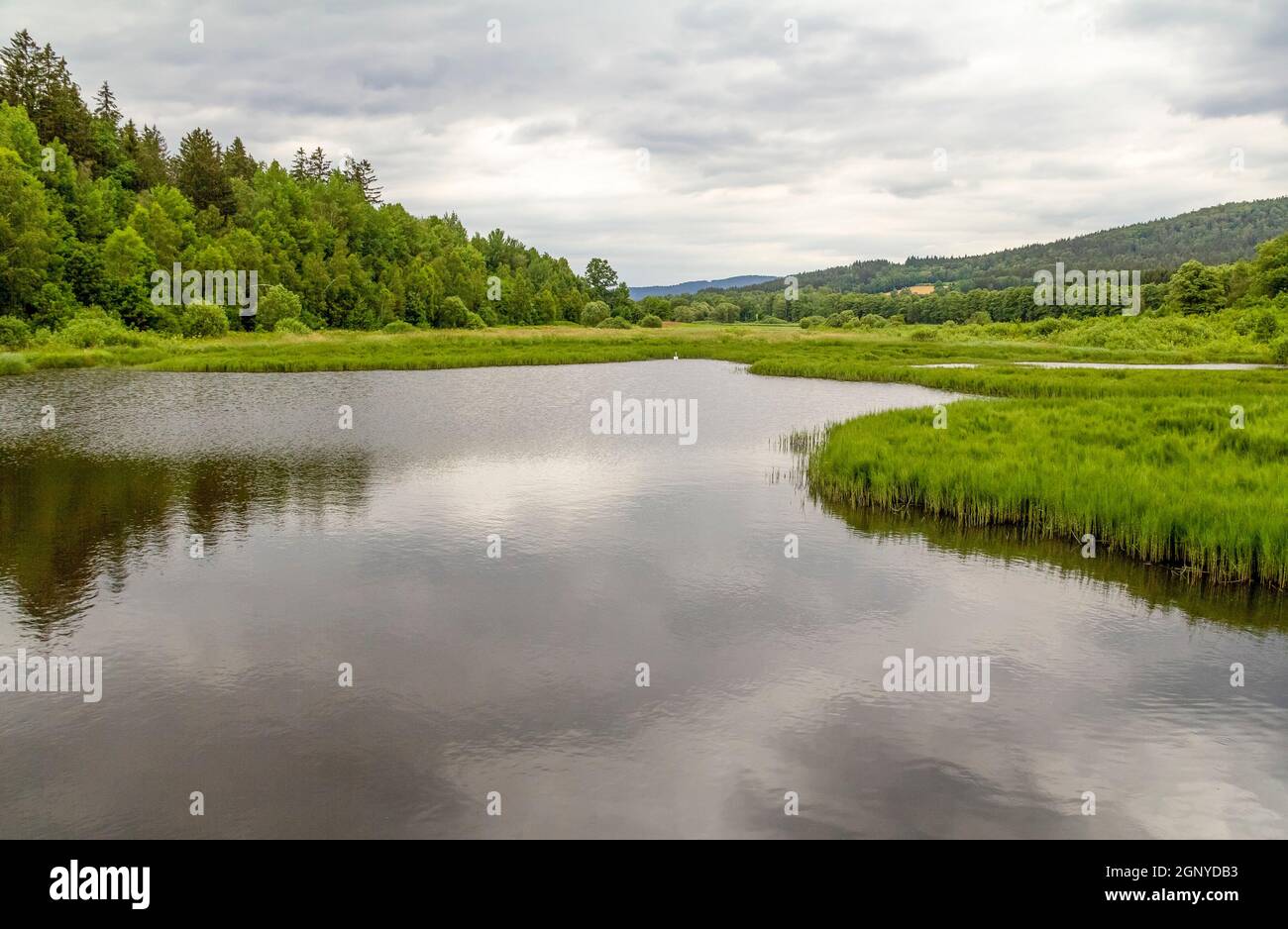 idyllic waterside scenery around Wiesenfelden in the Bavarian Forest at ...