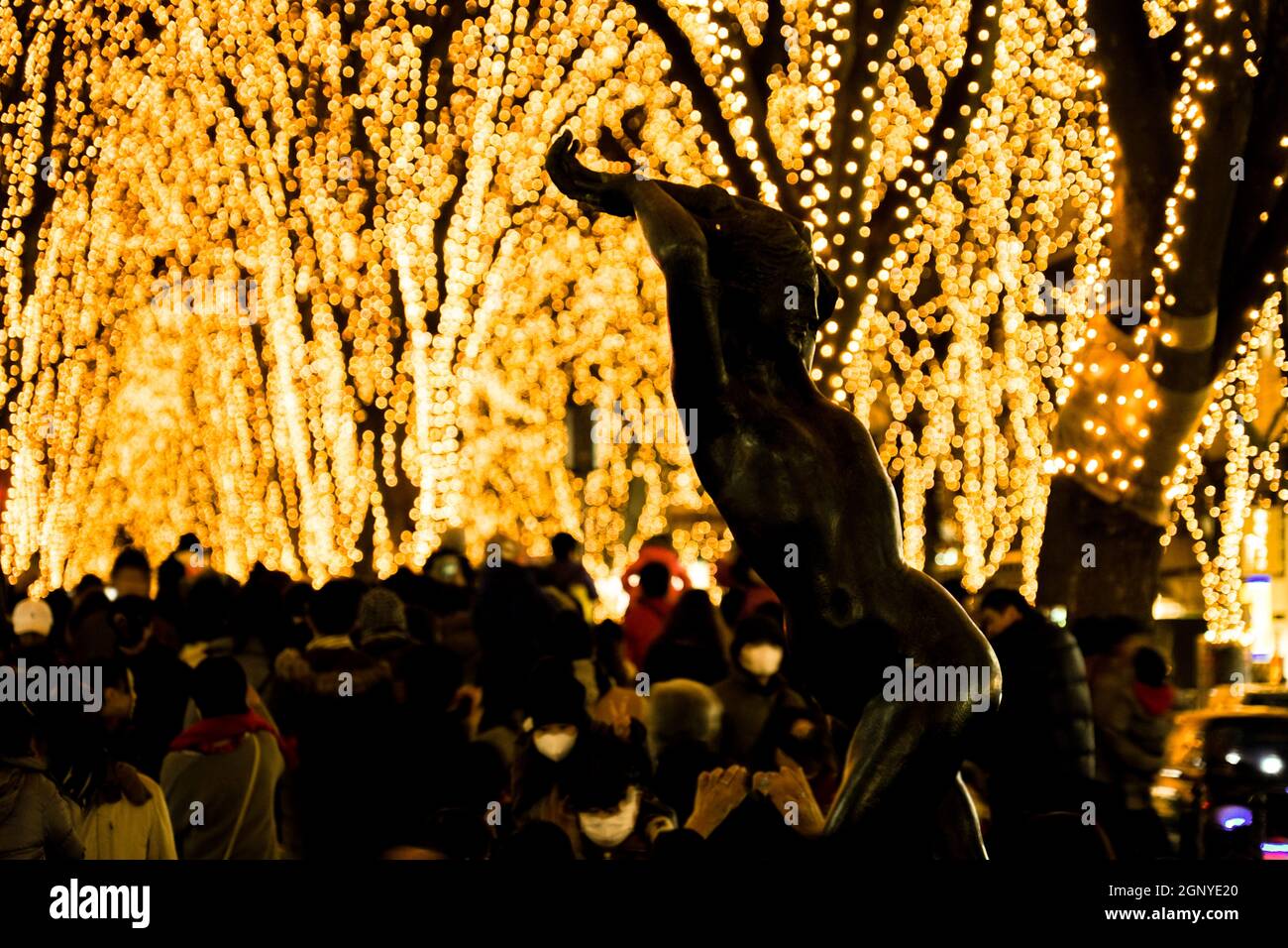Sendai light of the pageant and the night view of Jozenji Street ...