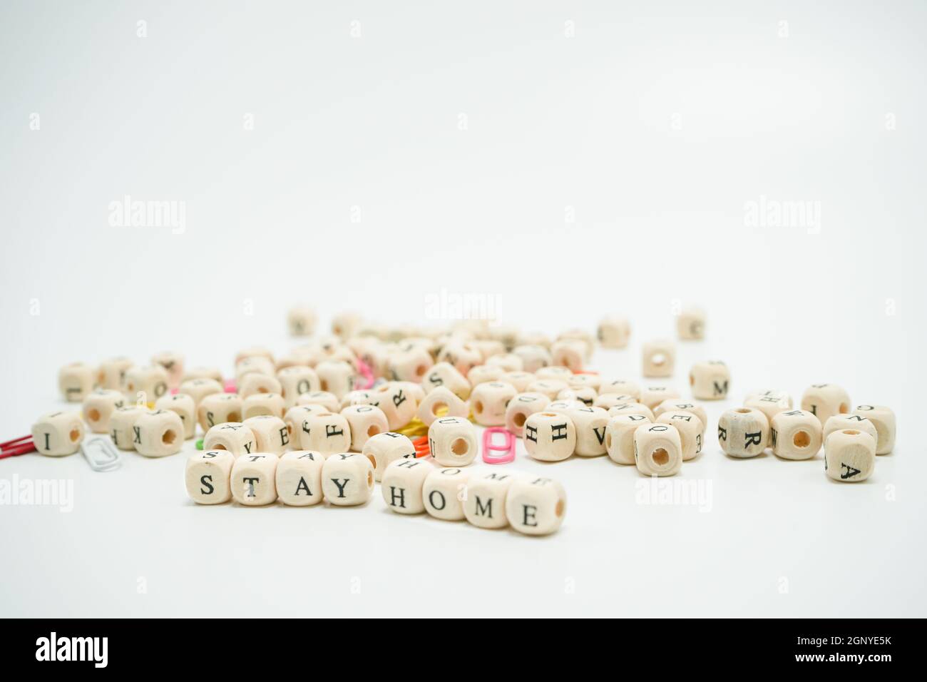 Stay home of the tree of (STAY HOME) block. Shooting Location: Yokohama ...