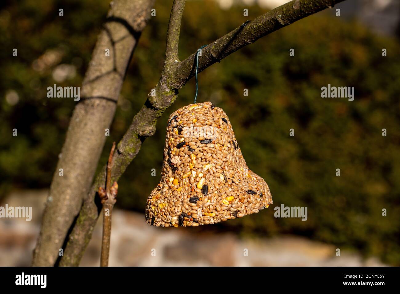 Bell from various grains, a delicacy for all the birds in the garden ...