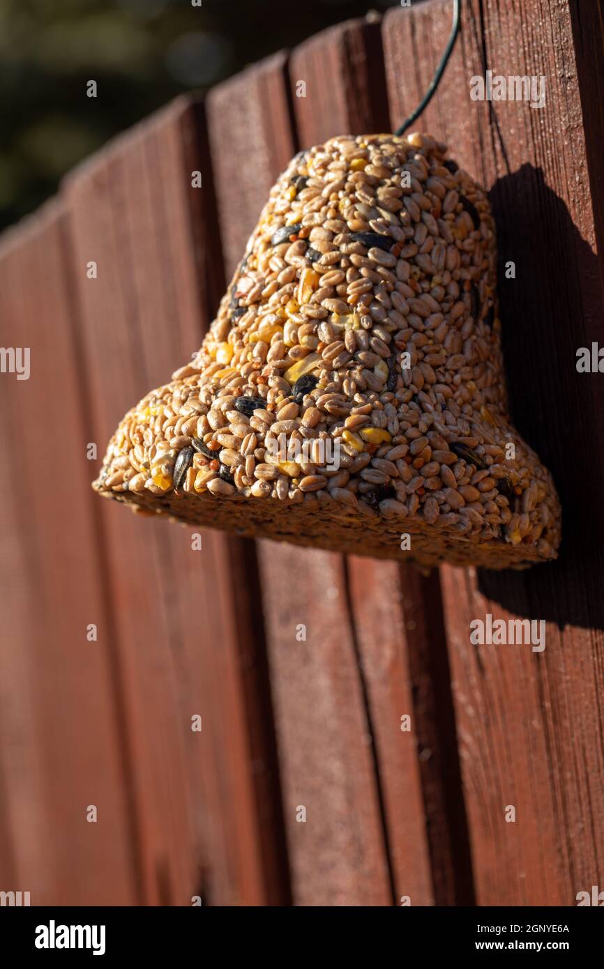 Bell from various grains, a delicacy for all the birds in the garden ...