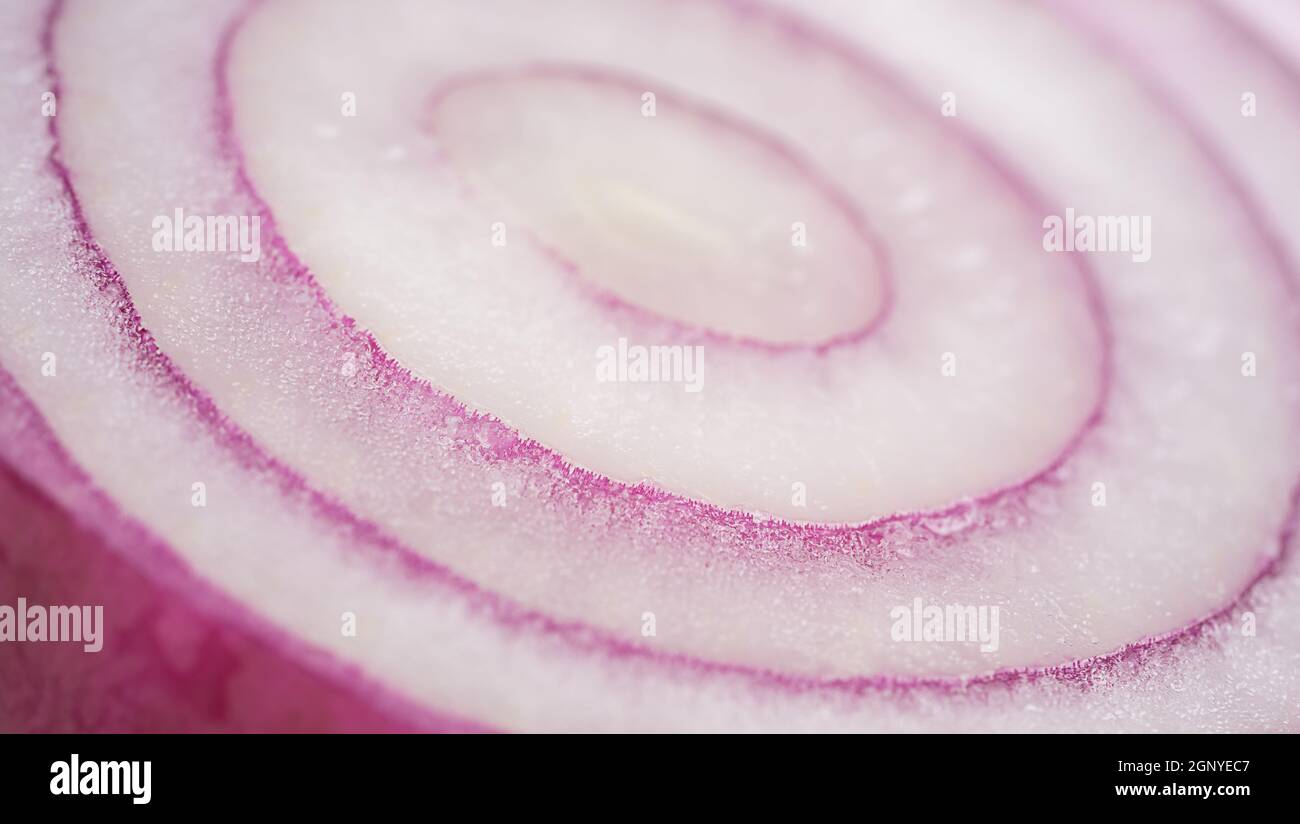 Onion texture hi-res stock photography and images - Alamy