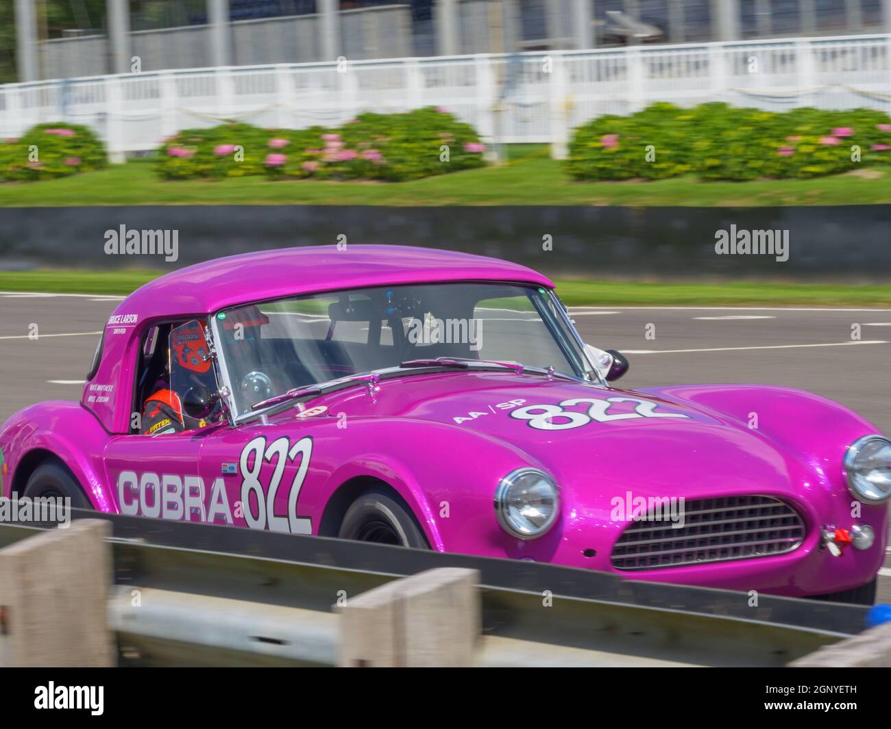 Racing cobra hi-res stock photography and images - Alamy