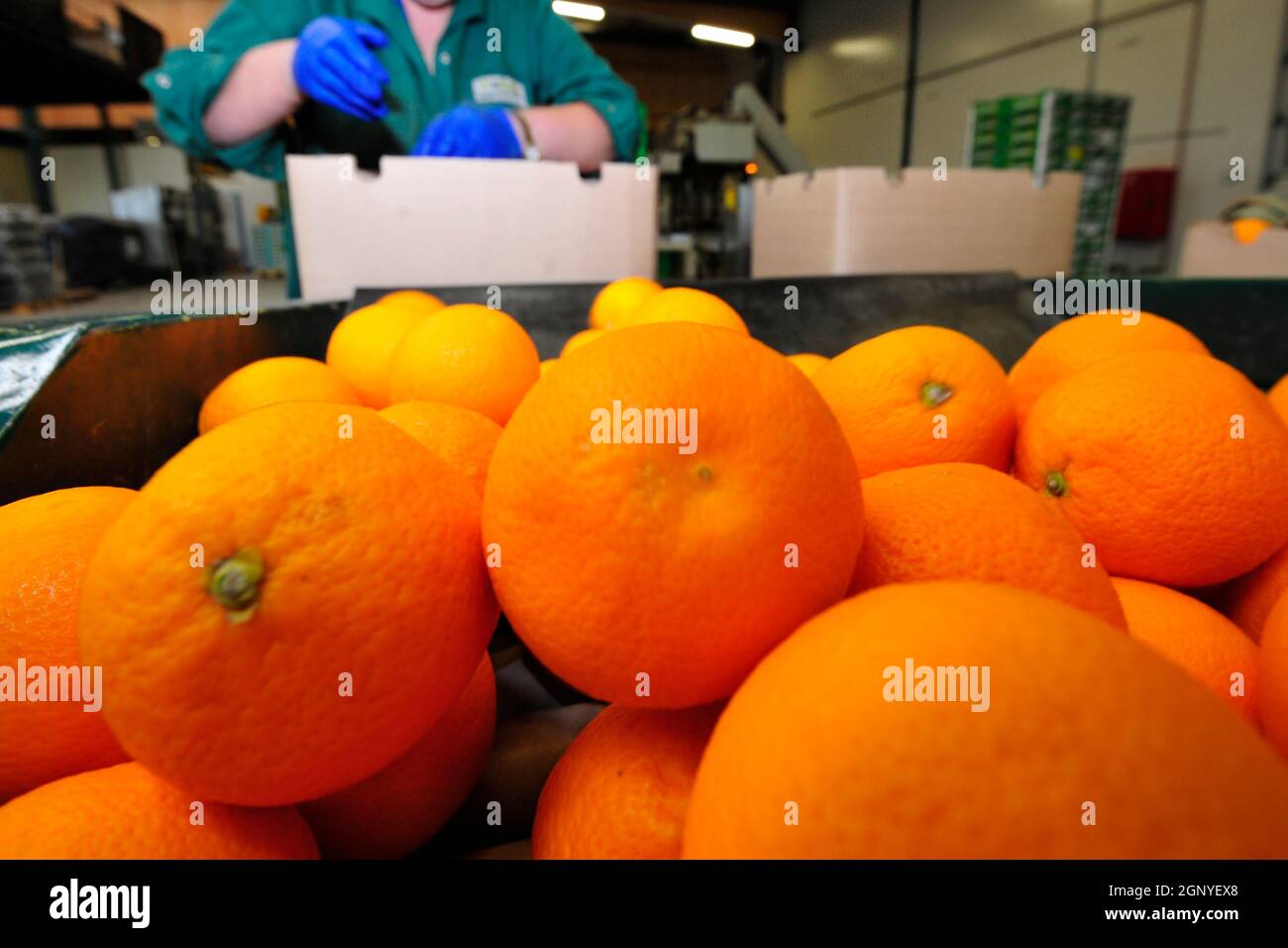 Loading fruits hi-res stock photography and images - Alamy