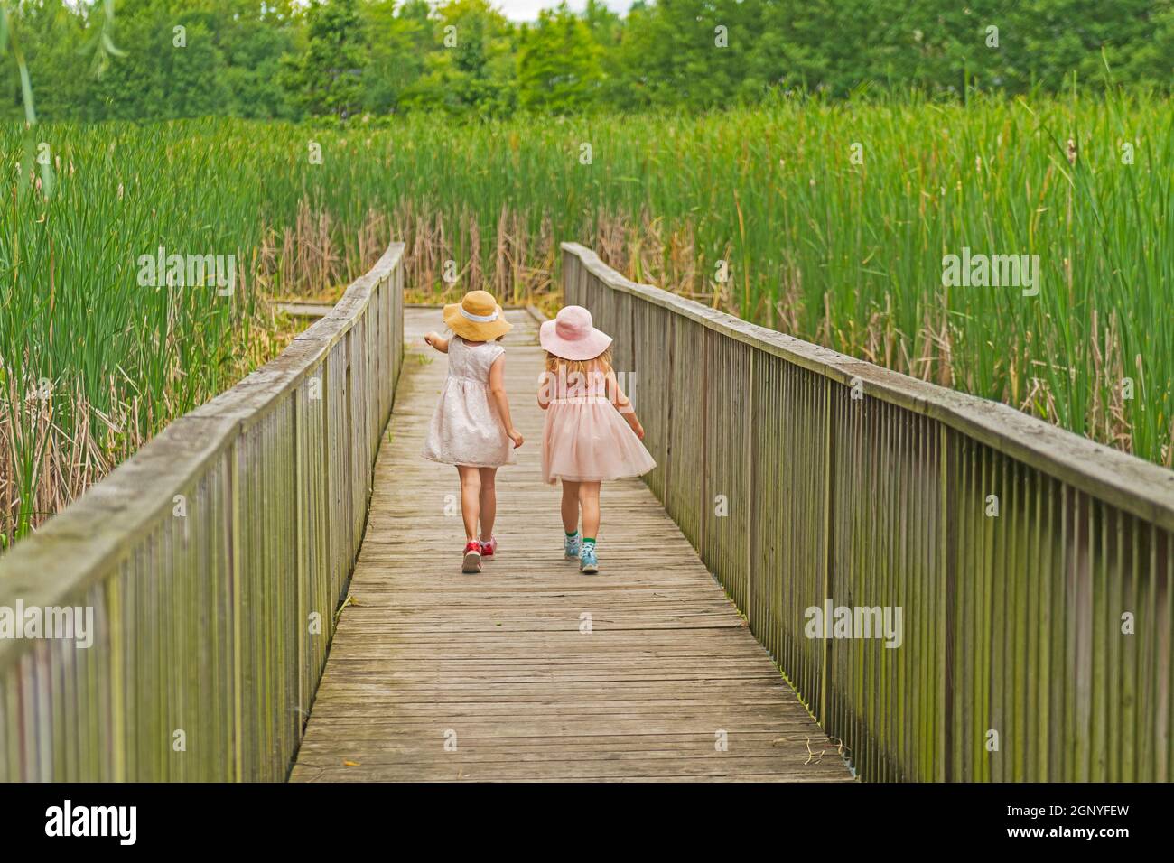Twin Girls Taking a Walk in the Nature Center in Spring Brook Nature ...