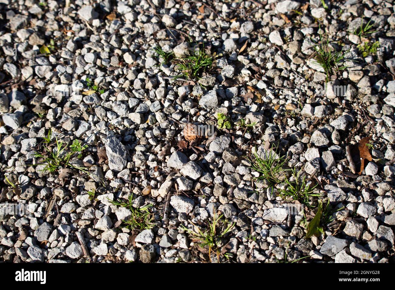 Eaten peach hi-res stock photography and images - Alamy