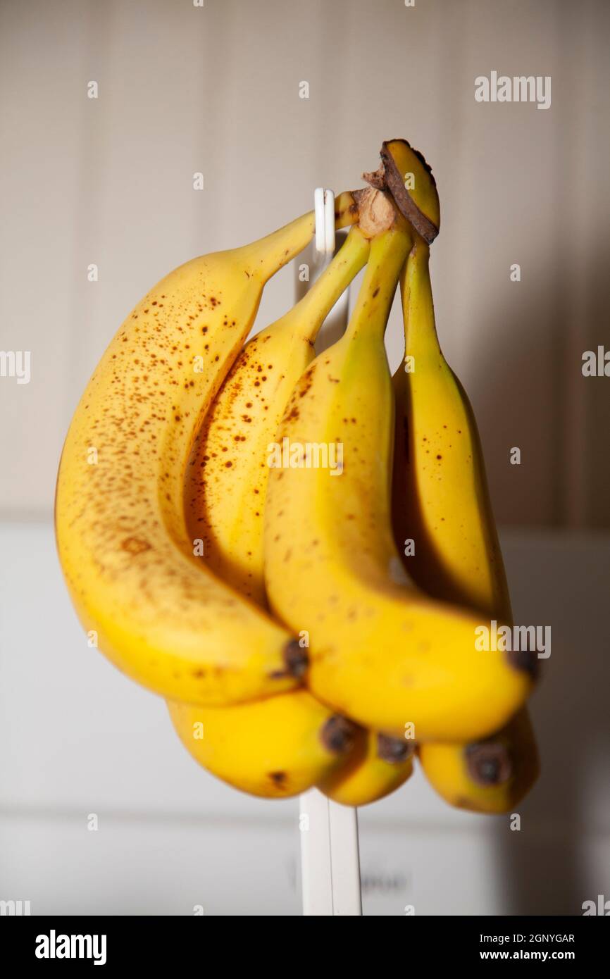 Bananas hanging kitchen hi-res stock photography and images - Alamy