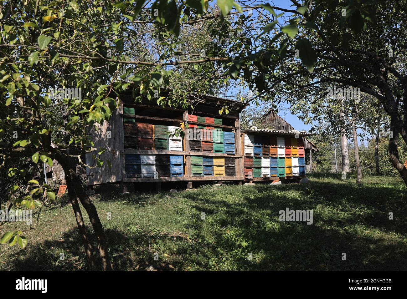 Bee apiary in a garden in the countryside Stock Photo - Alamy