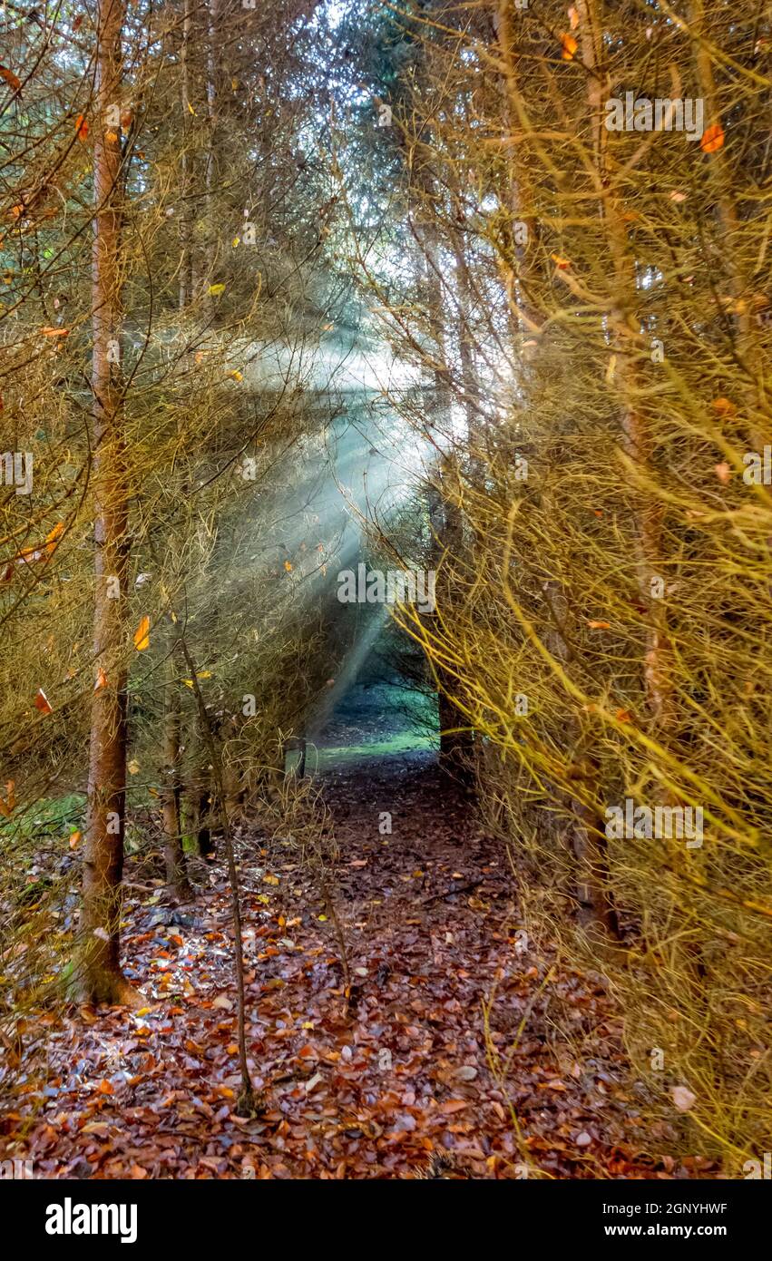 Strange Scenery High Resolution Stock Photography and Images - Alamy