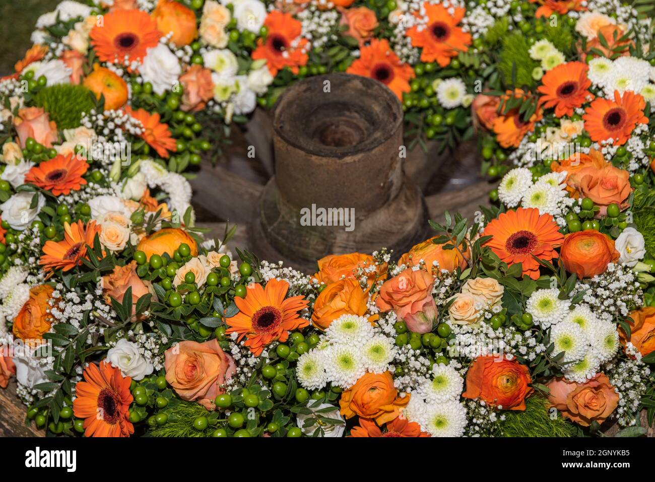 Cartwheel flowers hi-res stock photography and images - Alamy