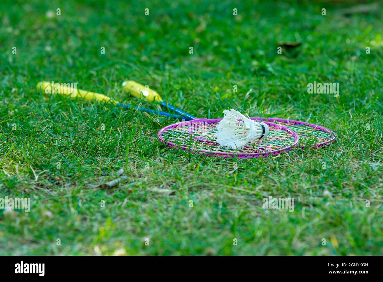 On the green grass are badminton rackets and a shuttlecock Stock Photo ...