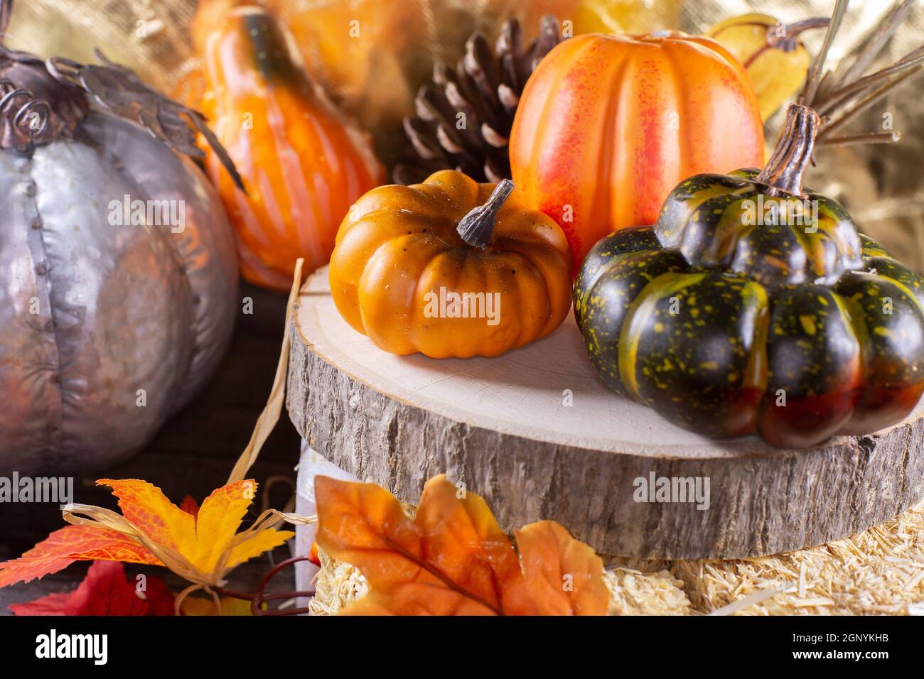 Small orange pumpkins, orange squash, pinecones, and green squash on ...