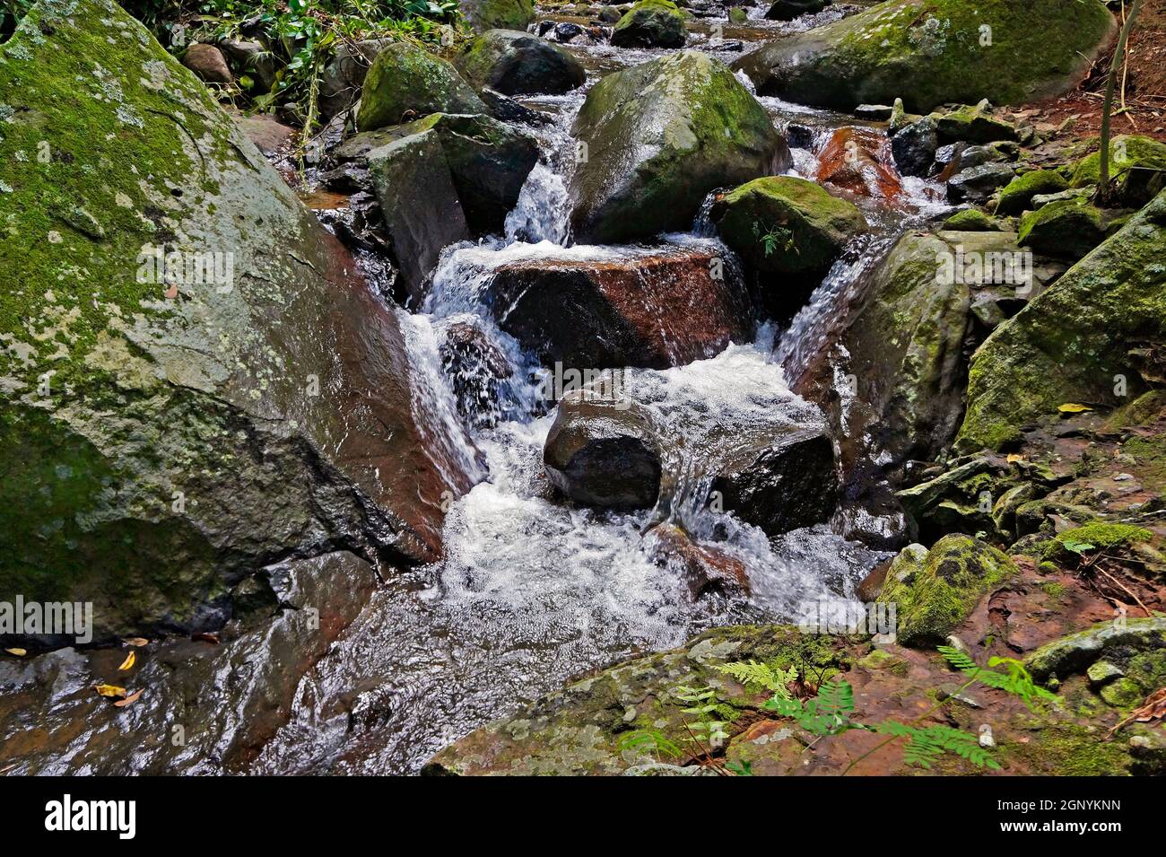 Small waterfall on tropical rainforest, Rio Stock Photo - Alamy