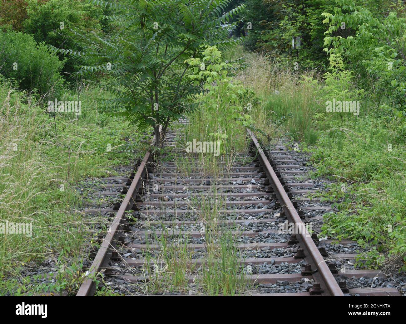 Abandoned railroad line hi-res stock photography and images - Alamy