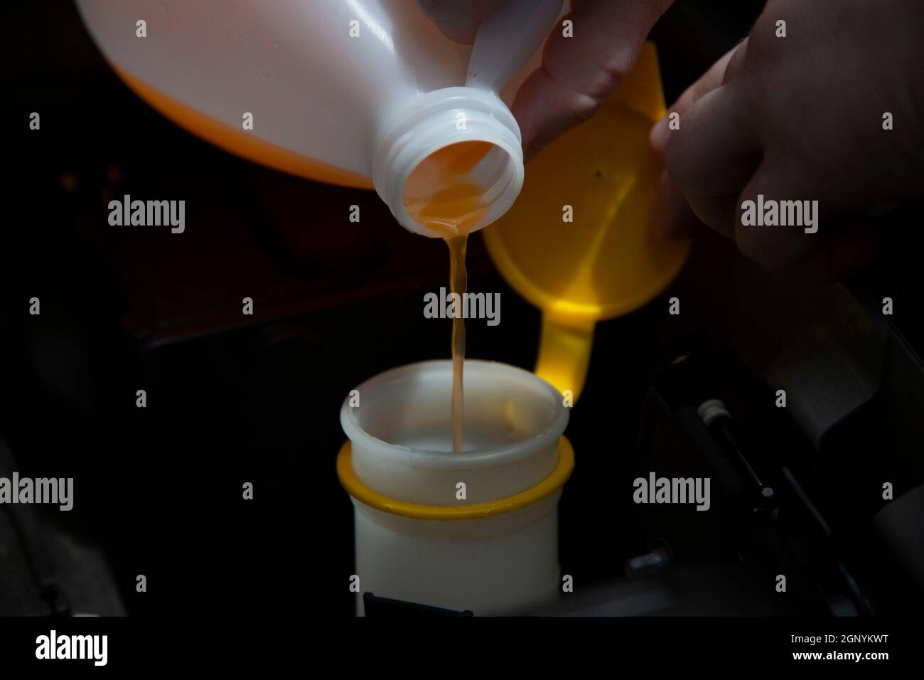 Windshield washer fluid being poured into the container in an ...