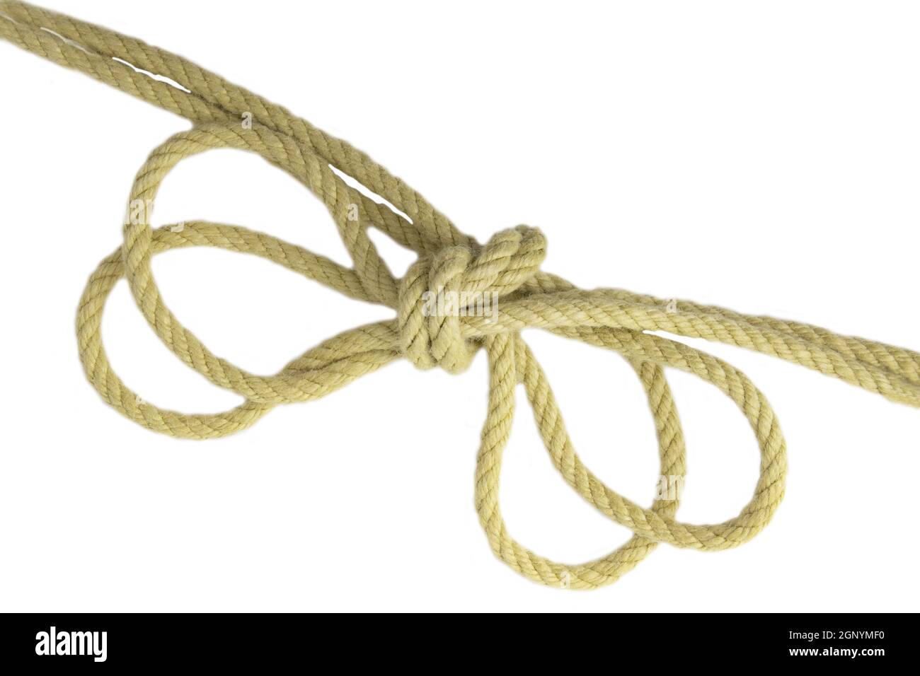 Close-up of node or knot from two ropes isolated on a white background ...