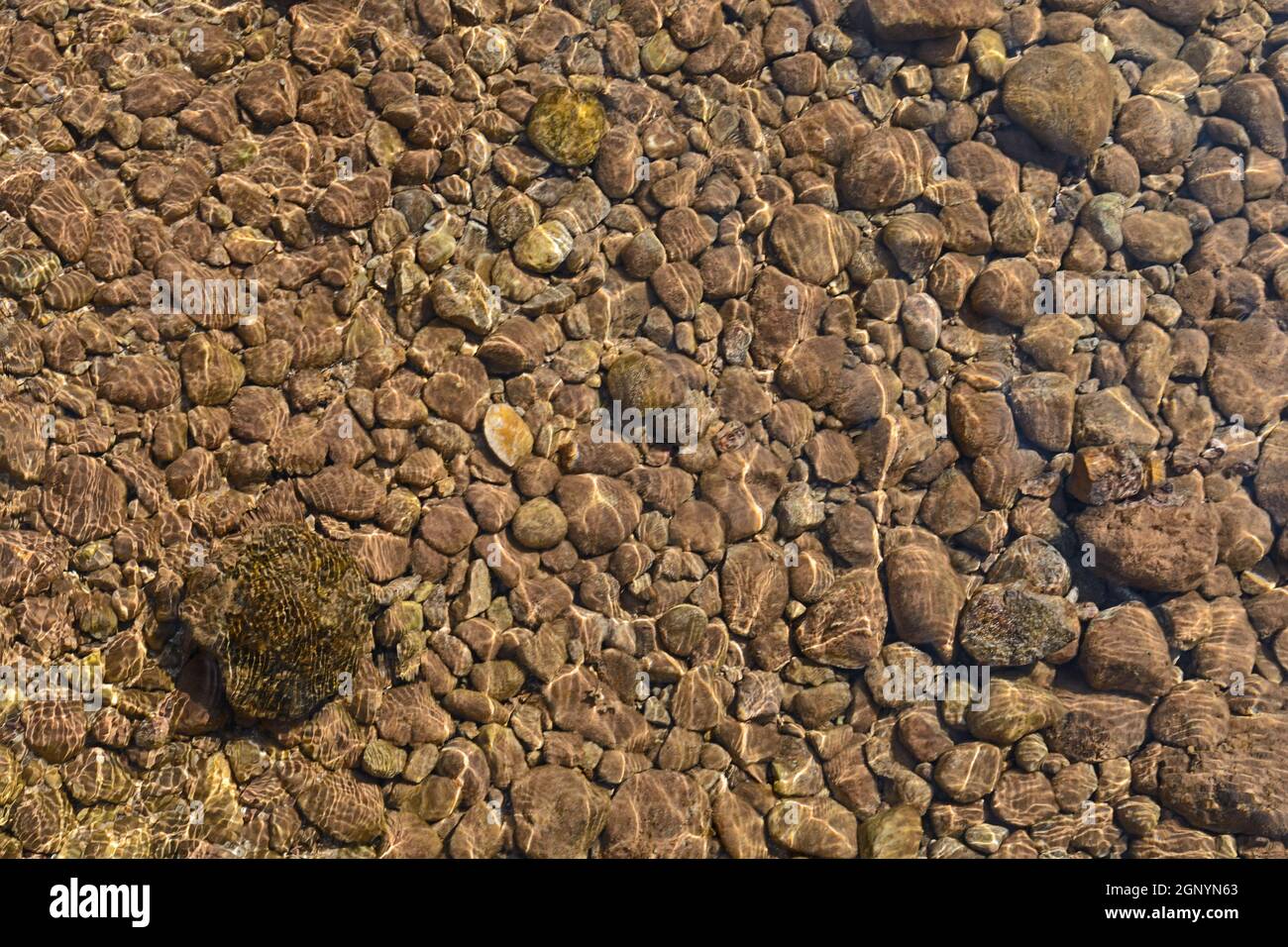 Sea stones in the ocean close Stock Photo - Alamy