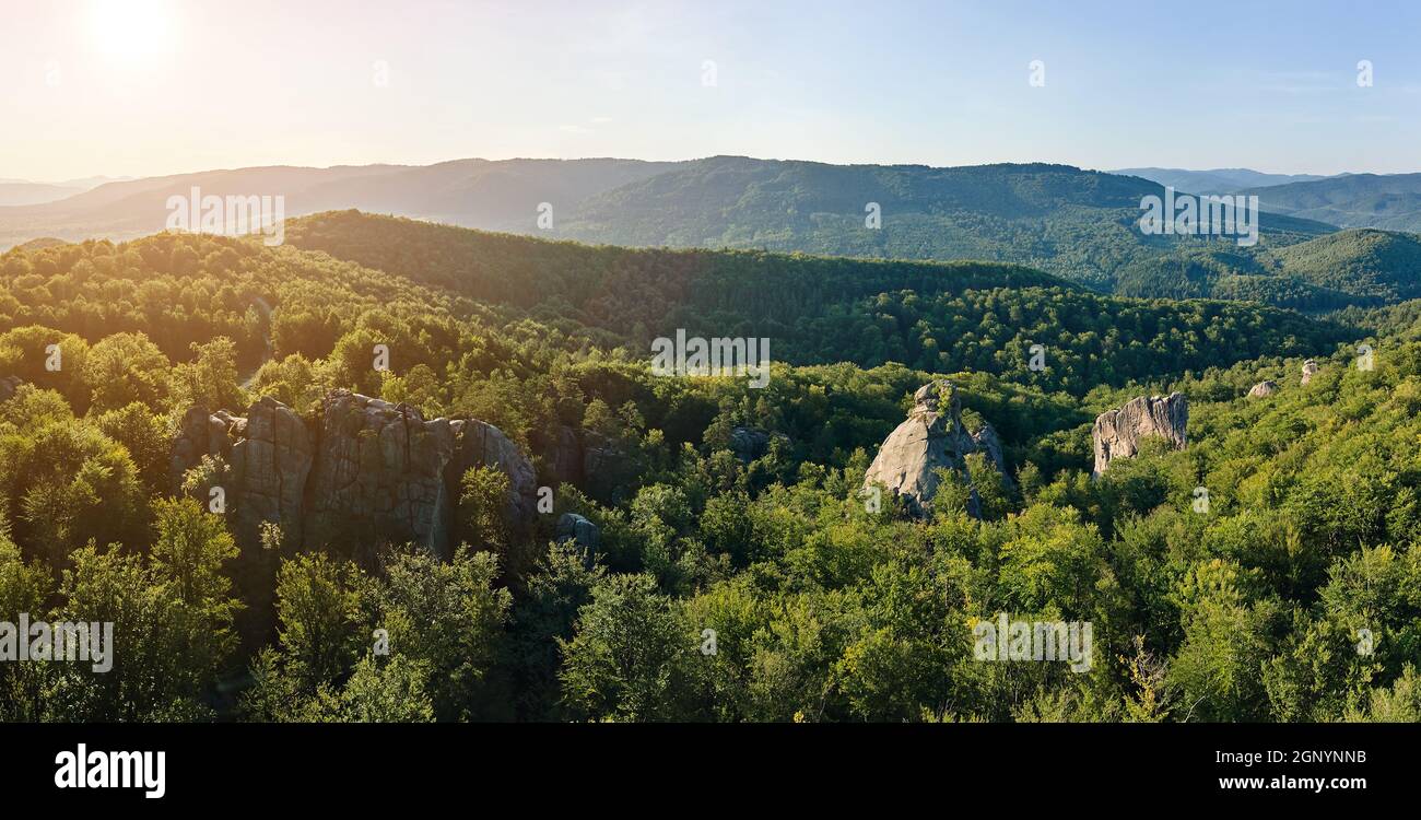 Panoramic view of bright landscape with green forest trees and big ...