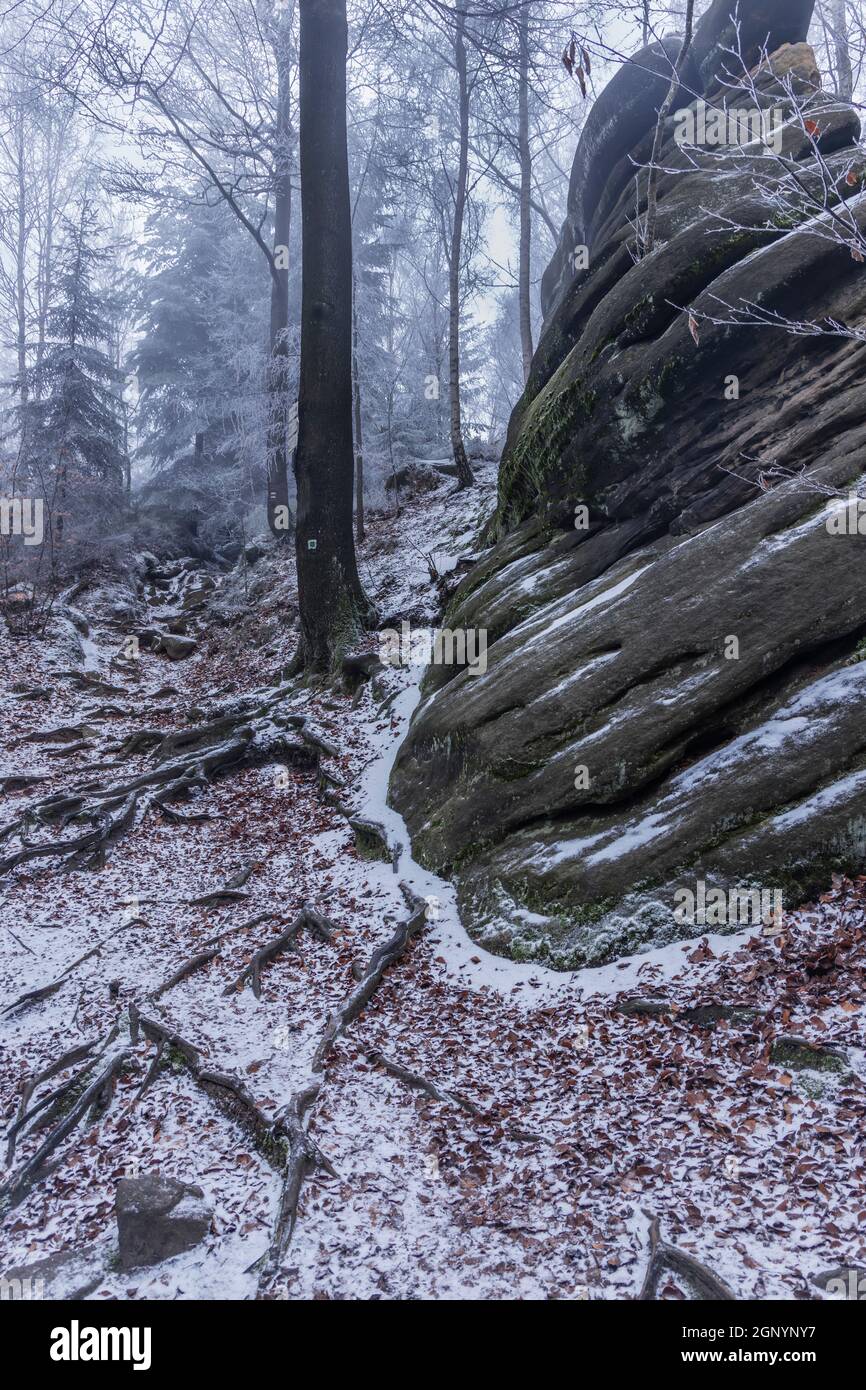 landscape in a nature reserve Broumovske steny, eastern Bohemia, Czech ...