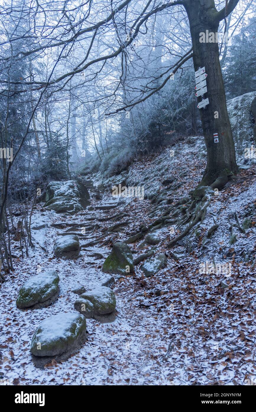 landscape in a nature reserve Broumovske steny, eastern Bohemia, Czech ...