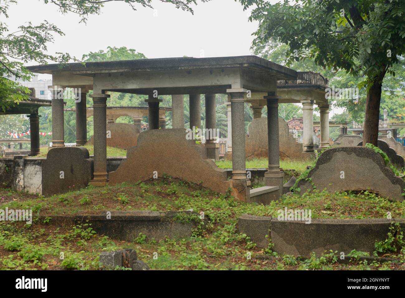 Cemetery with trees and many tombstones on a bright day Stock Photo - Alamy