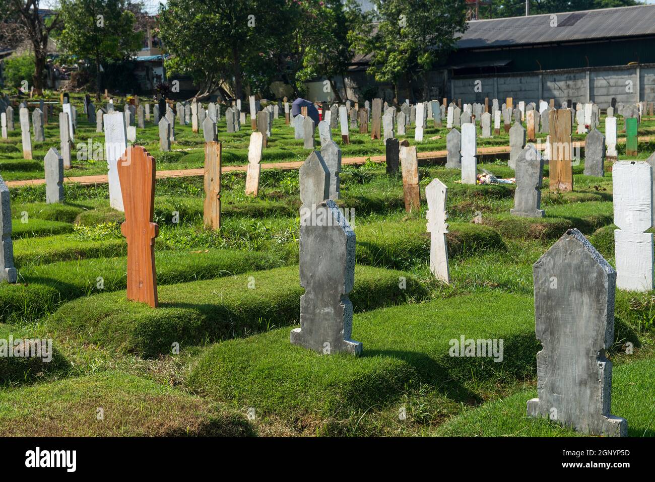 Cemetery with trees and many tombstones on a bright day Stock Photo - Alamy