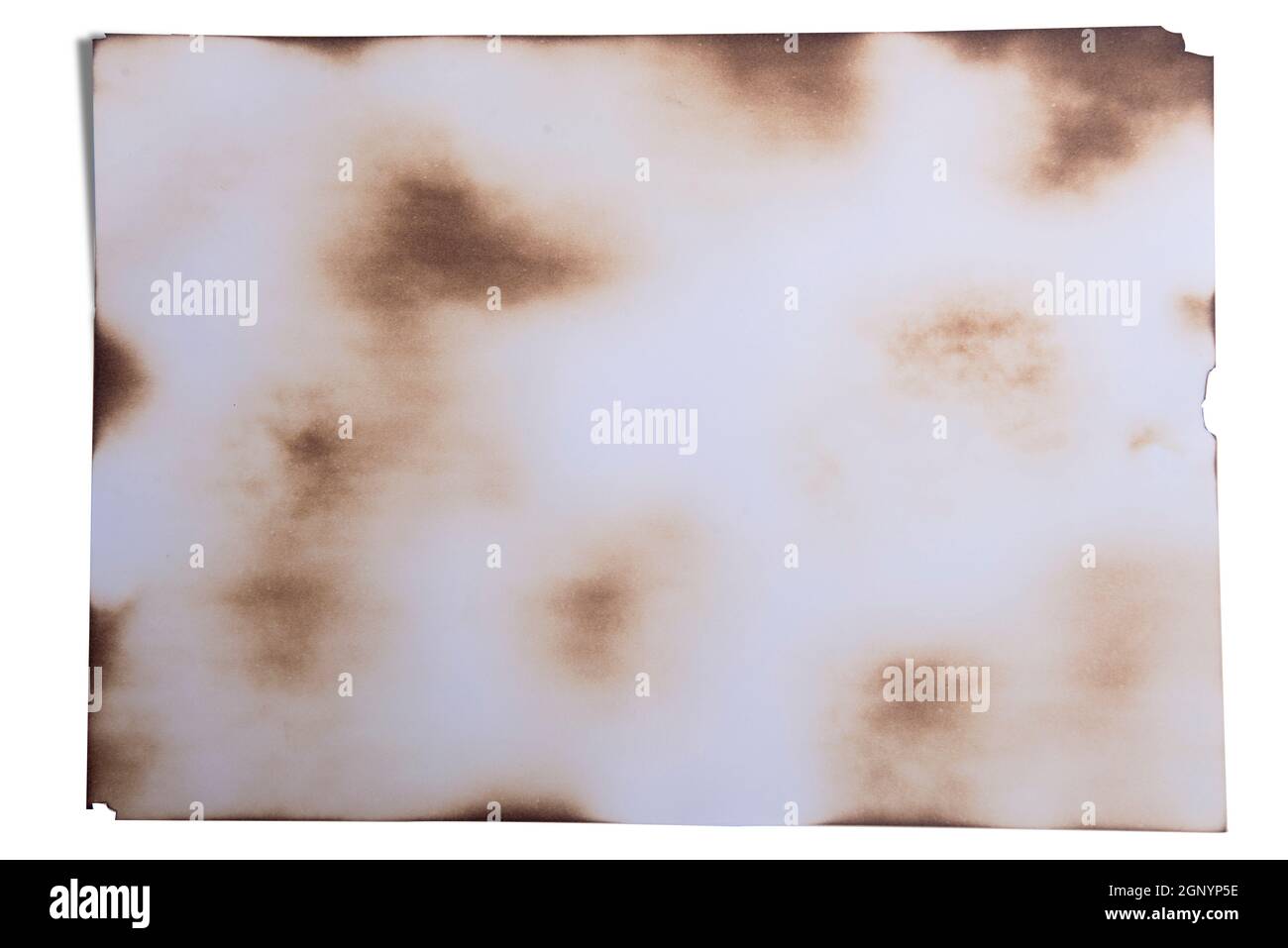 Burned white paper isolated over white background Stock Photo - Alamy