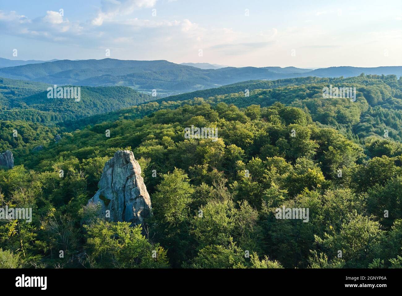 Aerial view of bright landscape with green forest trees and big rocky ...