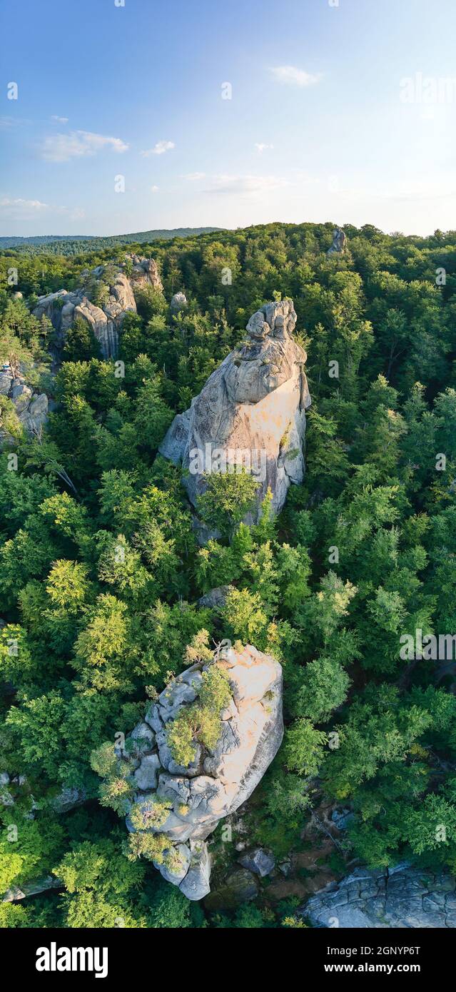 Panoramic view of bright landscape with green forest trees and big ...