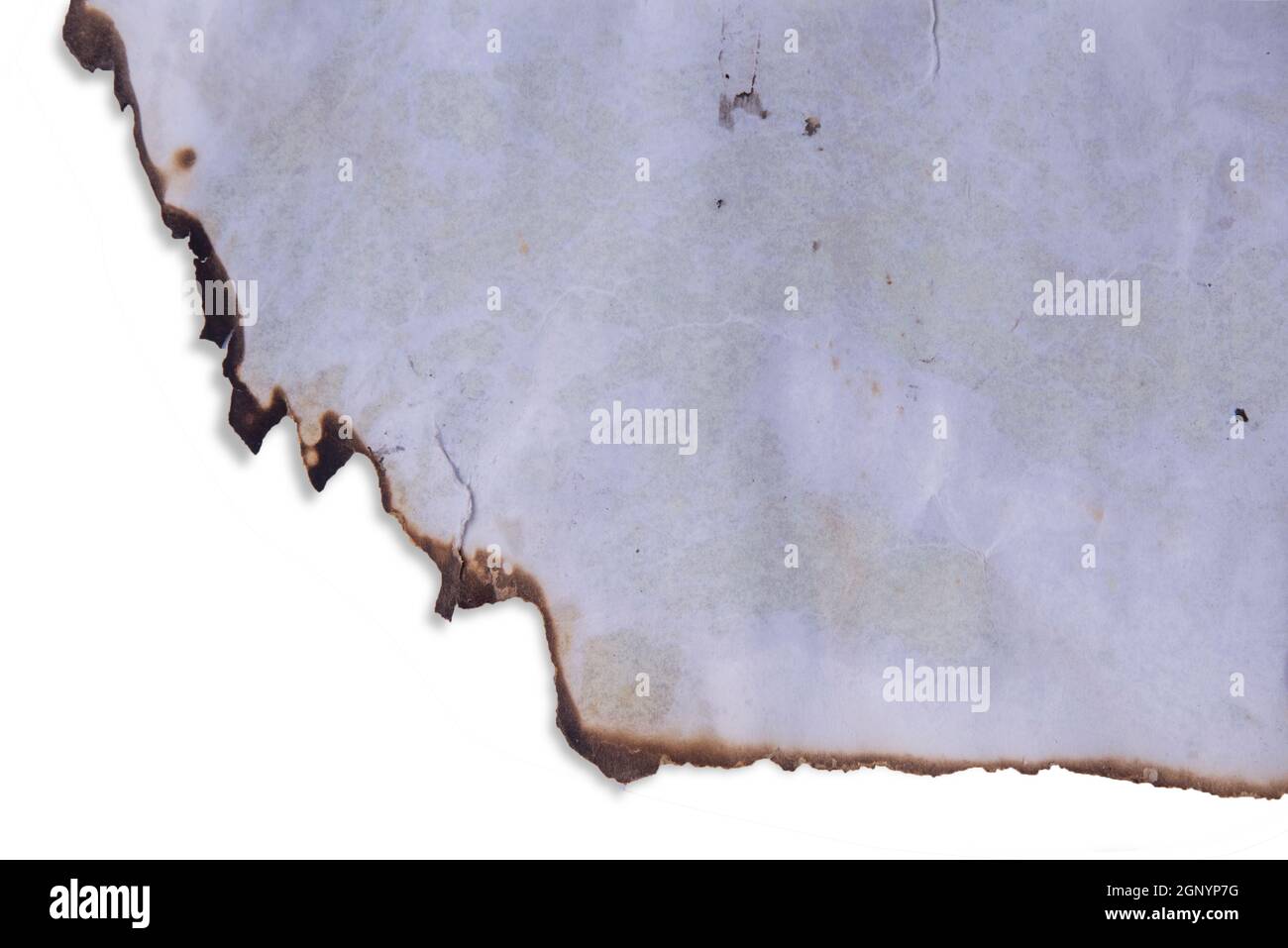 Burned white paper isolated over white background Stock Photo - Alamy