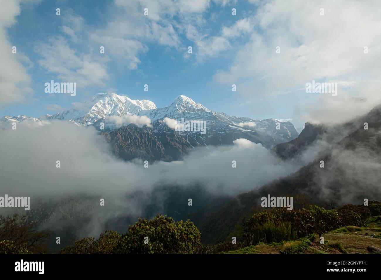 Machapuchare pokhara nepal asia hi-res stock photography and images - Alamy