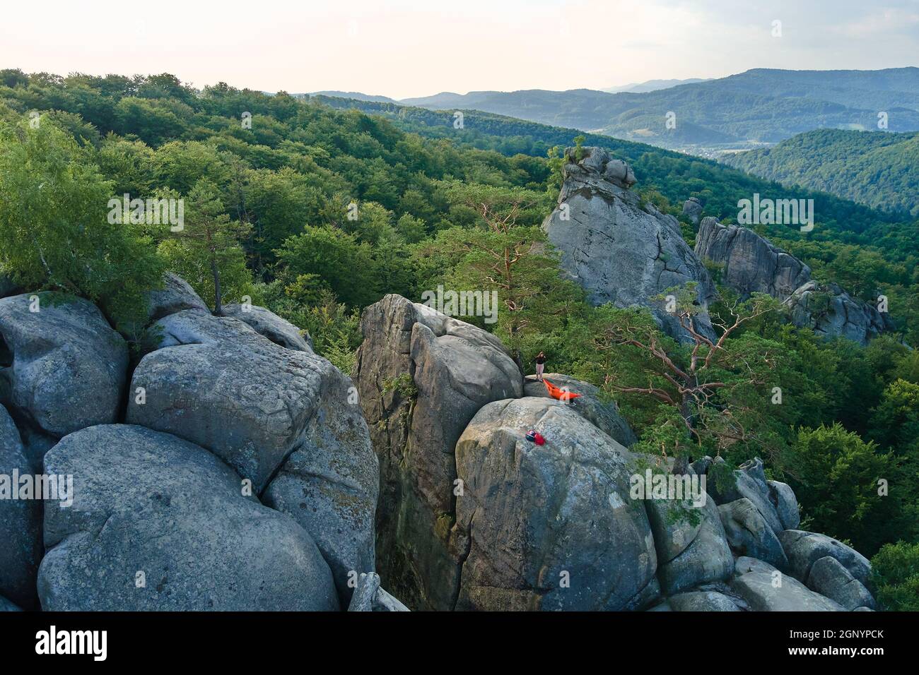 Aerial view of bright landscape with green forest trees and big rocky ...
