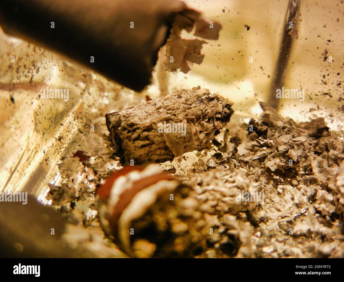 Cigarette cinder hi-res stock photography and images - Alamy