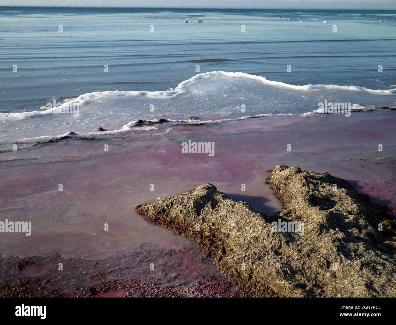 Frozen mud hi-res stock photography and images - Alamy