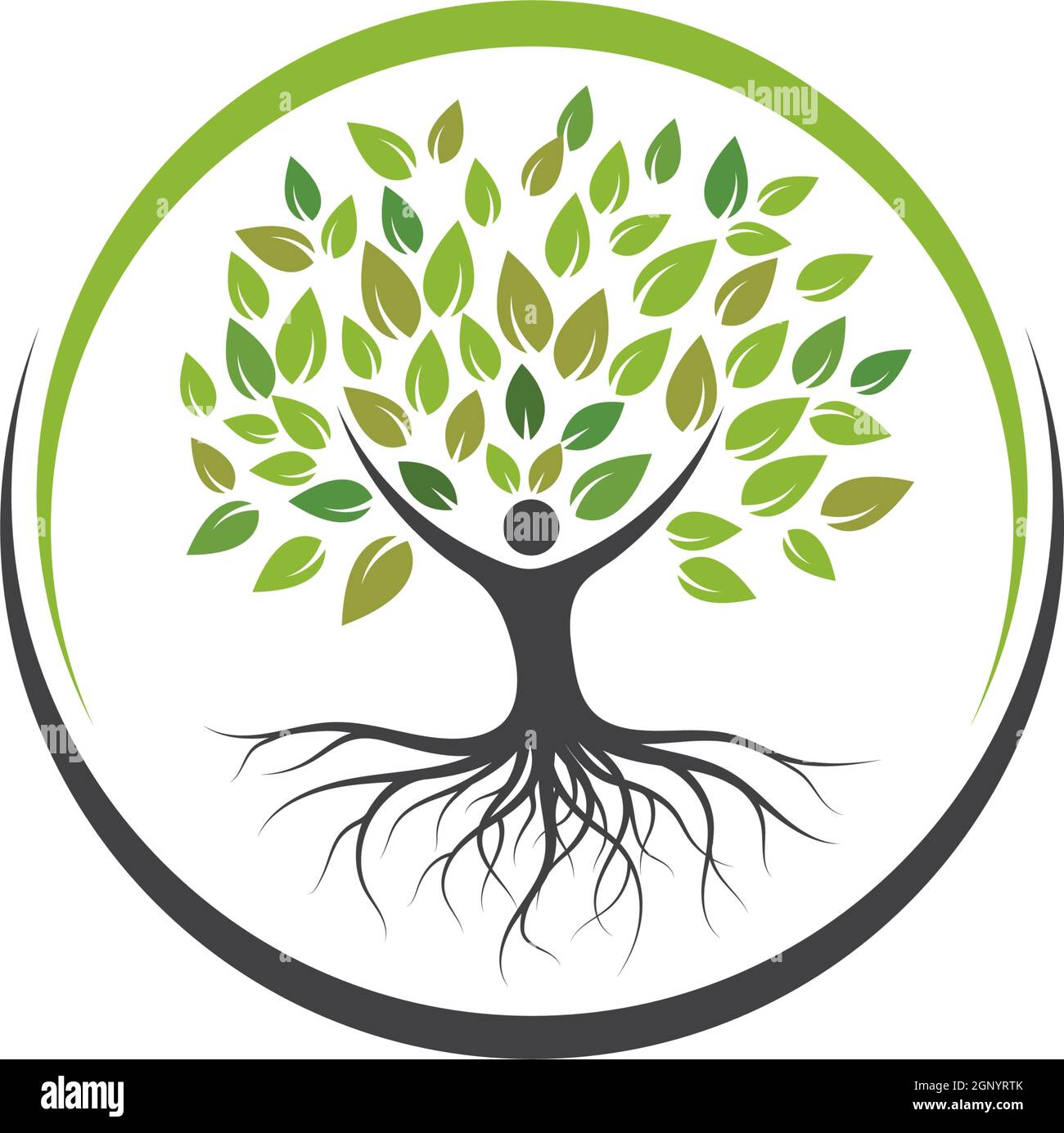 Family tree icon hi-res stock photography and images - Alamy