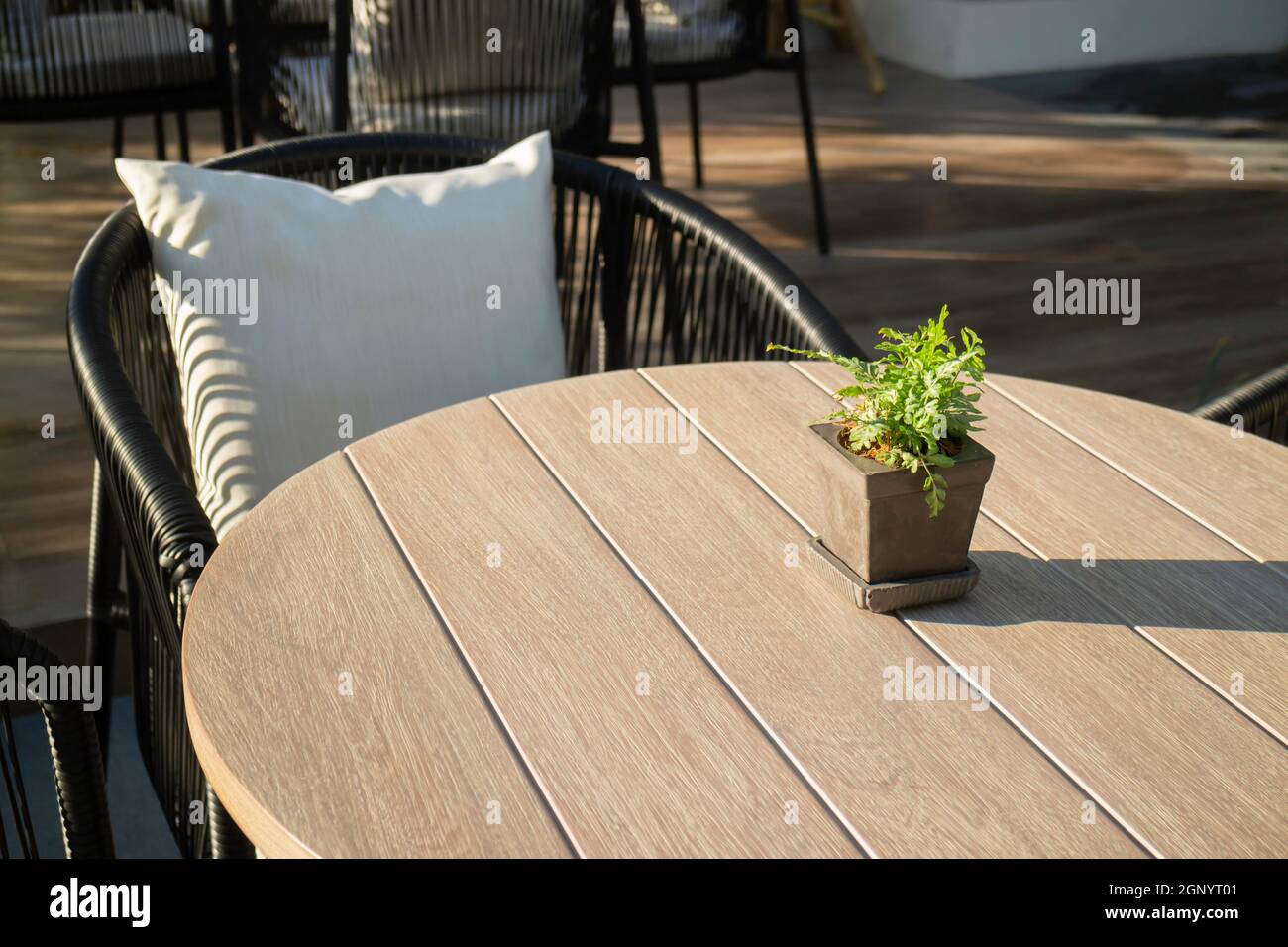 Relaxation green resort cafe and restaurant, stock photo Stock Photo ...