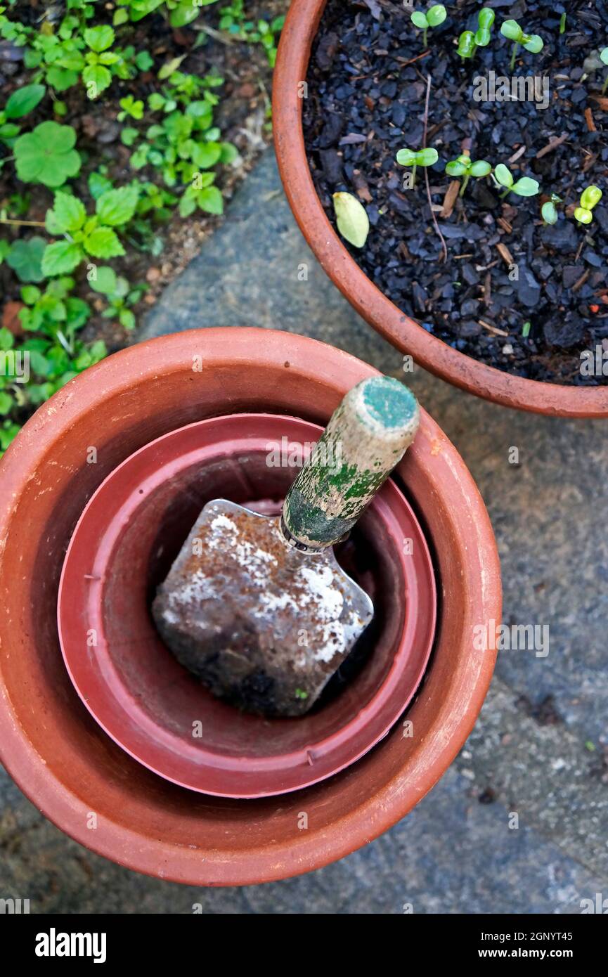 Germination and cultivation farming hi-res stock photography and images ...