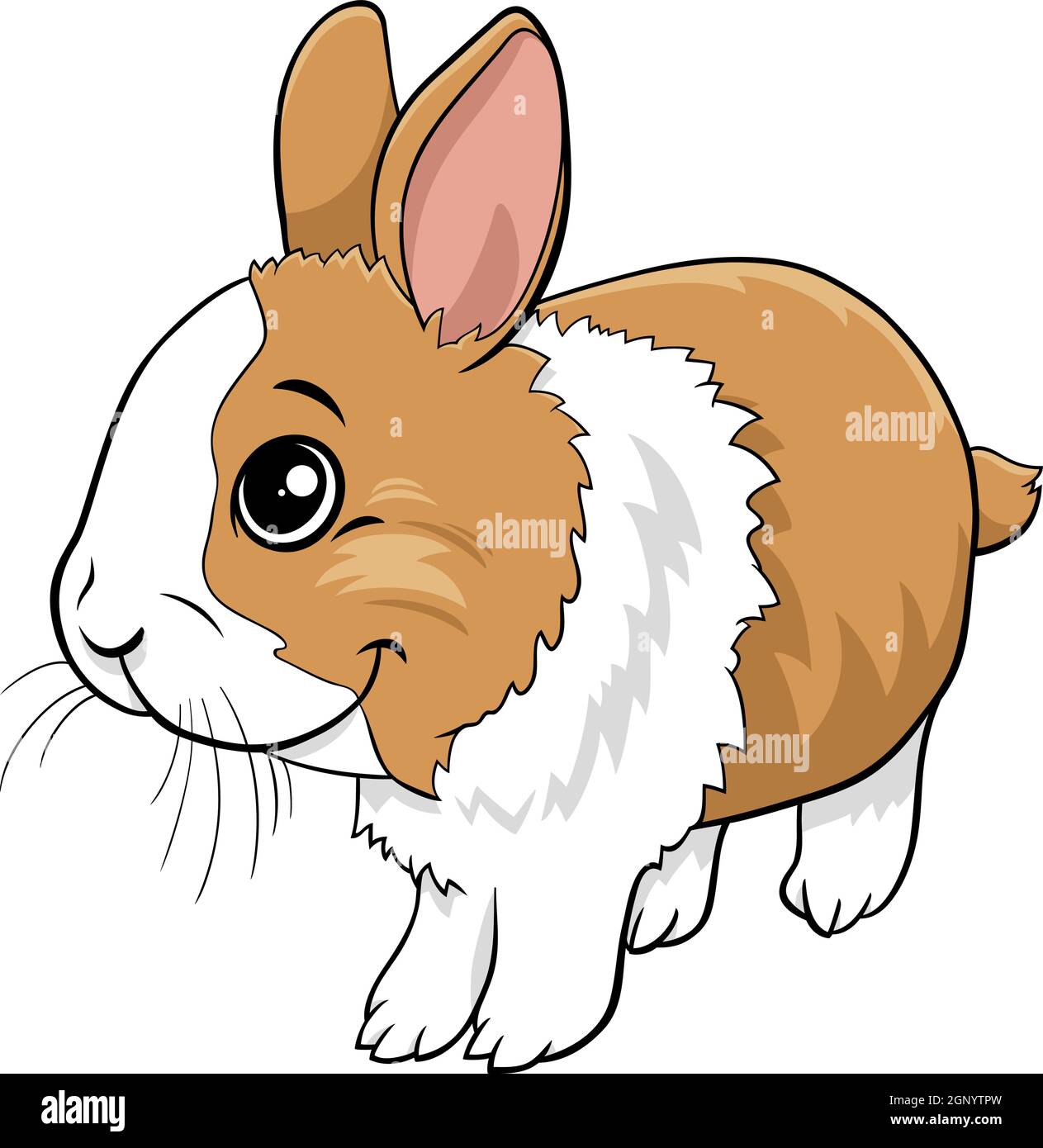 cartoon dwarf rabbit comic animal character Stock Vector Image & Art ...