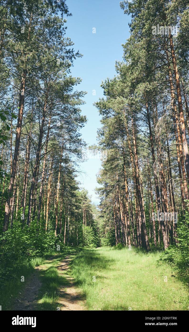 Summer in the wilderness hi-res stock photography and images - Alamy