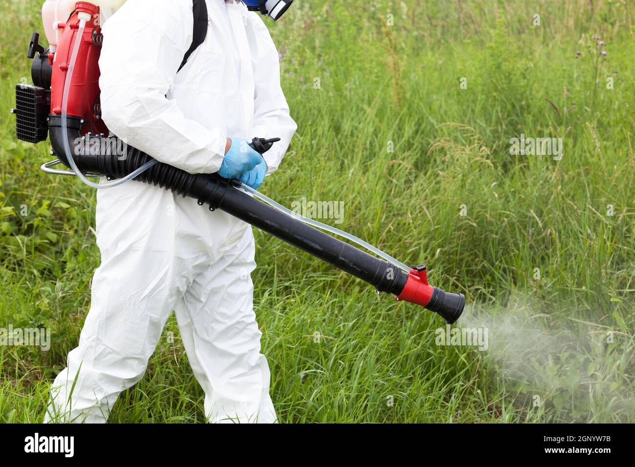 Ragweed control hi-res stock photography and images - Alamy